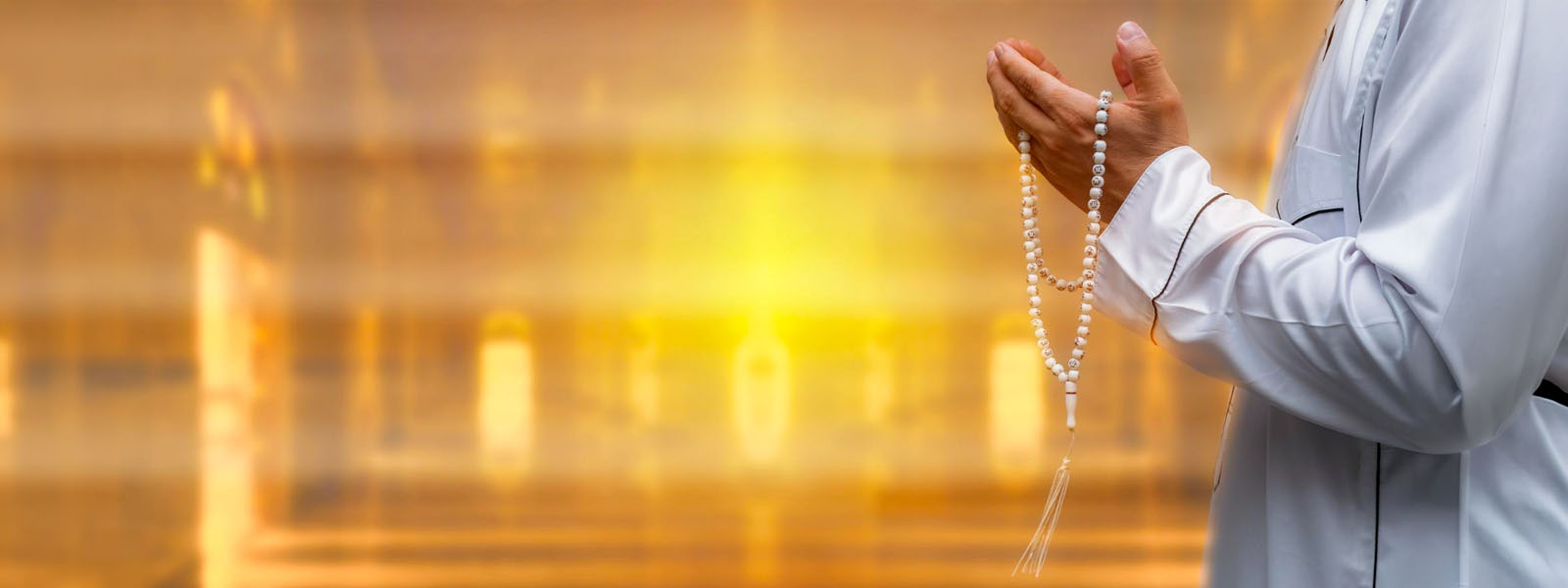 Mustafa Center – Providing a wide range of services to the muslim ...